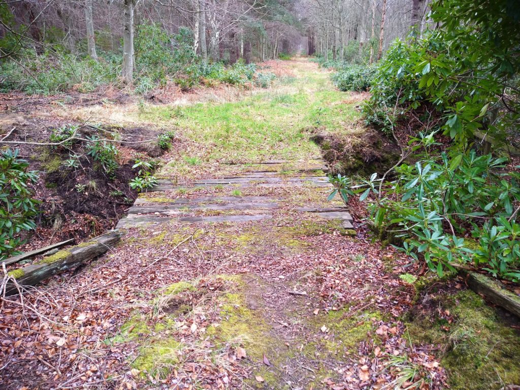 Binning Wood - Saturday 30th March 2019 - East Lothian Orienteers