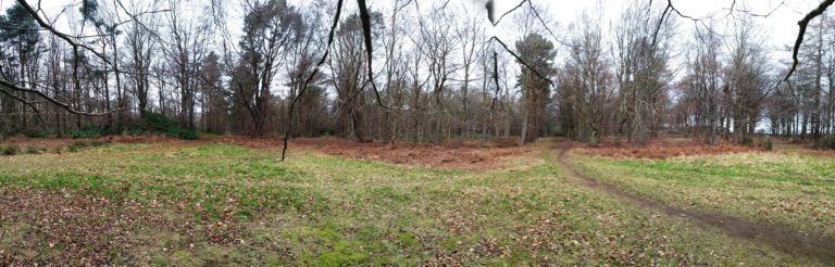 Binning Wood - Saturday 30th March 2019 - East Lothian Orienteers